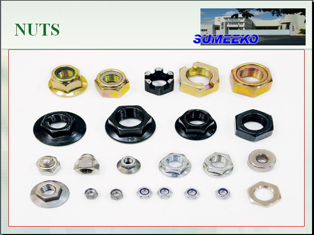 NUTS -Sample library-chinaFastenerinfo.net