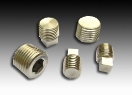 plug screws-Sample library-chinaFastenerinfo.net