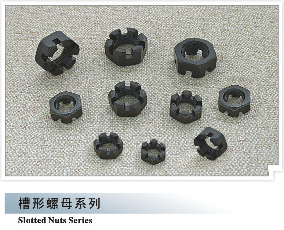 Slotted Nuts Series-Sample library-chinaFastenerinfo.net