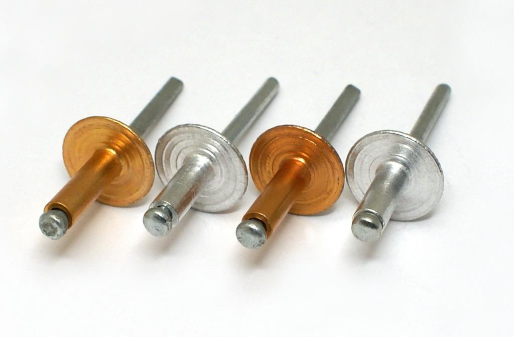 Big cap rivets-Sample library-chinaFastenerinfo.net