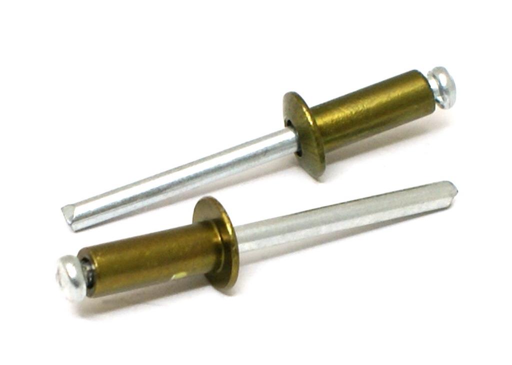 Tan rivets-Sample library-chinaFastenerinfo.net