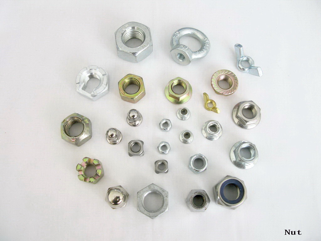 nuts-Sample library-chinaFastenerinfo.net