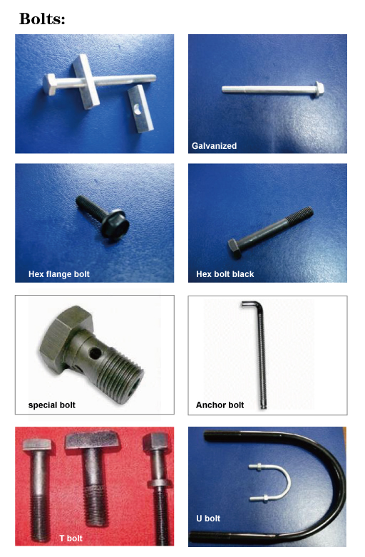 Bolts-Sample library-chinaFastenerinfo.net