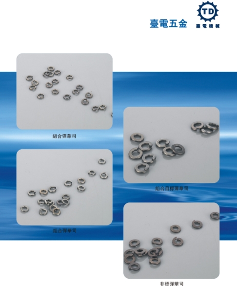 Combination of bombs Washer-Sample library-chinaFastenerinfo.net