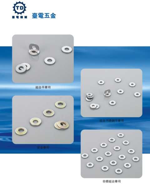 Combination of bombs Washer-Sample library-chinaFastenerinfo.net