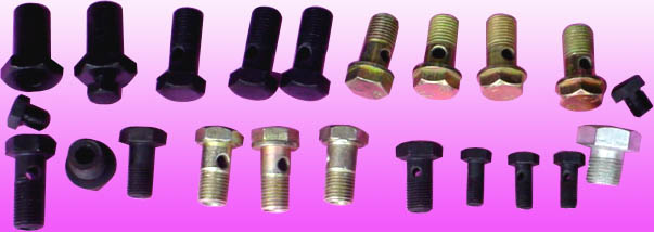 bolts-Sample library-chinaFastenerinfo.net