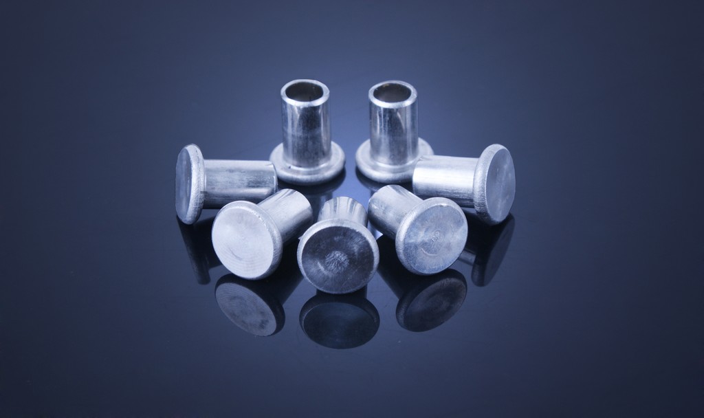 Stainless Steel Rivet-Sample library-chinaFastenerinfo.net