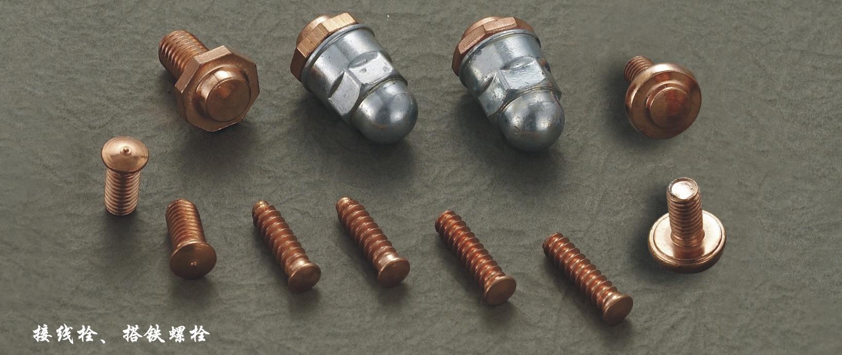 BOLTS-Sample library-chinaFastenerinfo.net