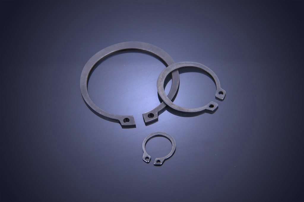 Retaining Rings with Lugs-Sample library-chinaFastenerinfo.net