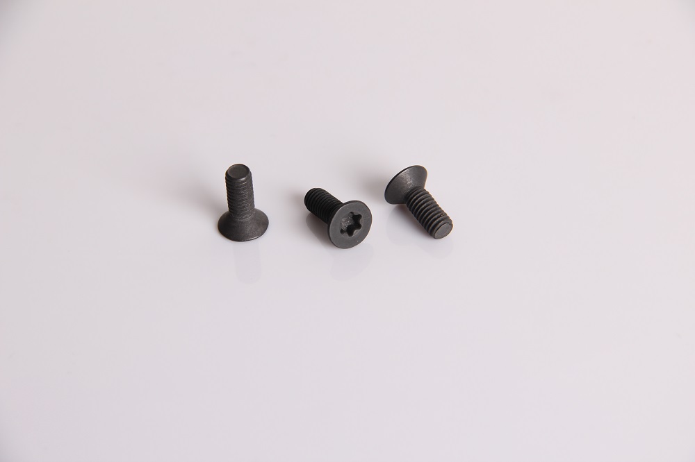 Pan Cross slotted head screw-Sample library-chinaFastenerinfo.net