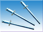 RIVETS-Sample library-chinaFastenerinfo.net