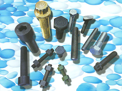 BOLTS-Sample library-chinaFastenerinfo.net