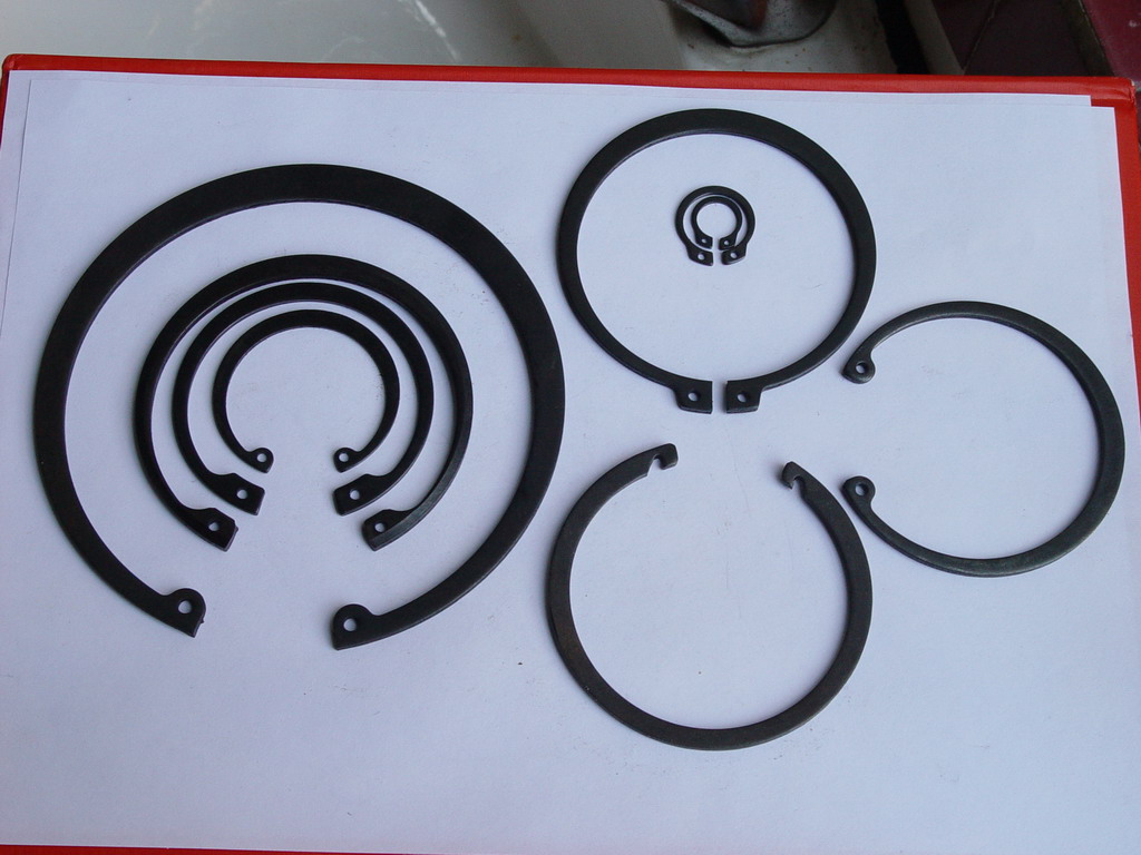 rings-Sample library-chinaFastenerinfo.net