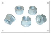 Auto nuts-Sample library-chinaFastenerinfo.net